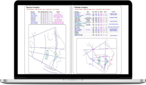 Cephalometric Tracing and Analysis Services – Powered by AI | CephX
