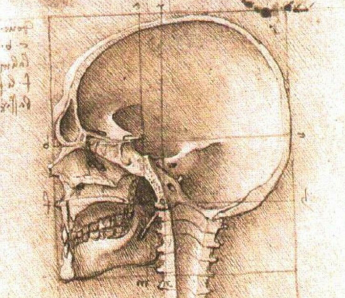 The Very Long History of Cephalometric Analysis | CephX